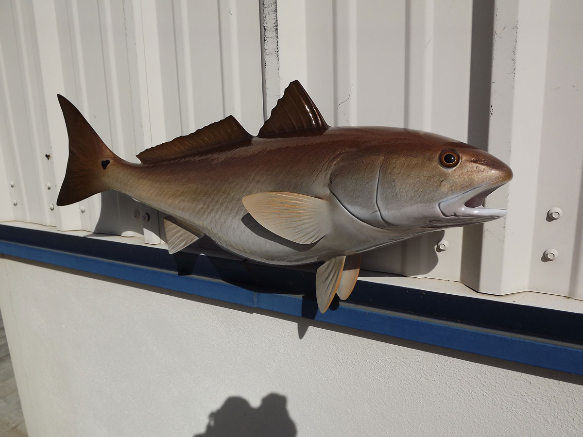 Inshore Saltwater Slam Half Mount Combo