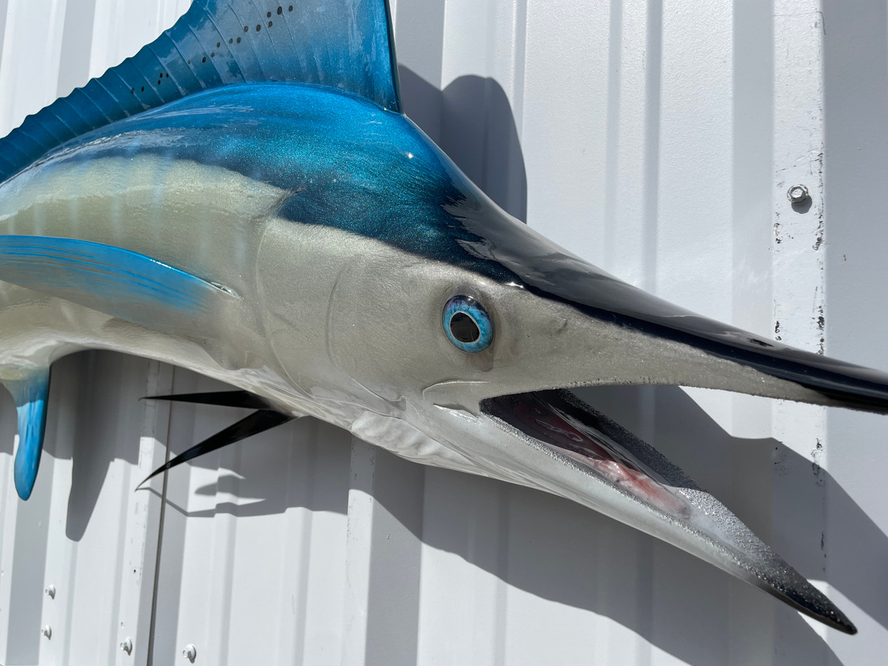 Stunning 73 Inch White Marlin Fish Mount Replica | In Stock And For ...