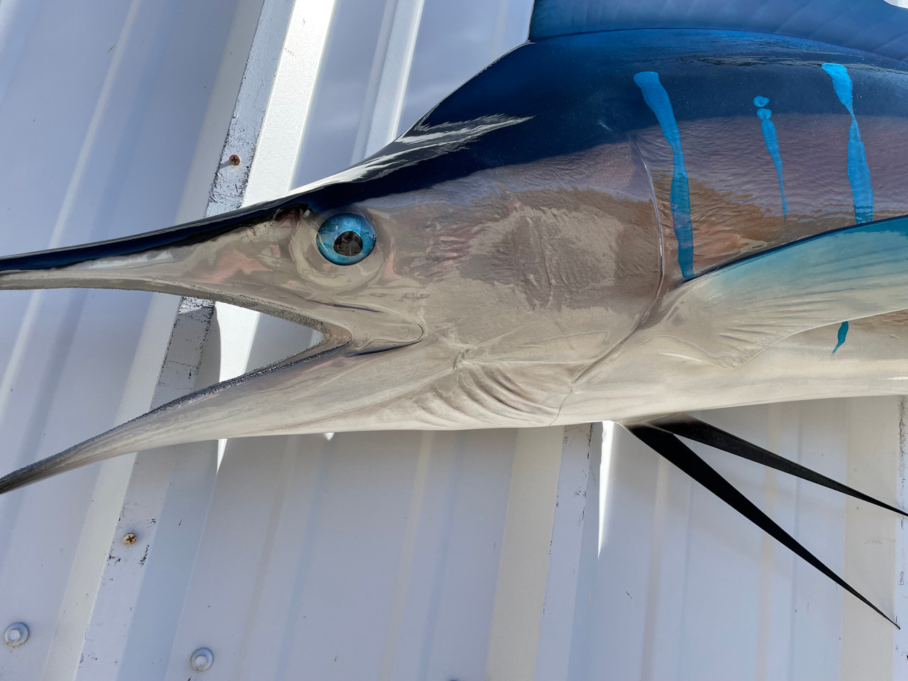 87 Inch Striped Marlin Fish Mount by Mount This Fish Company
