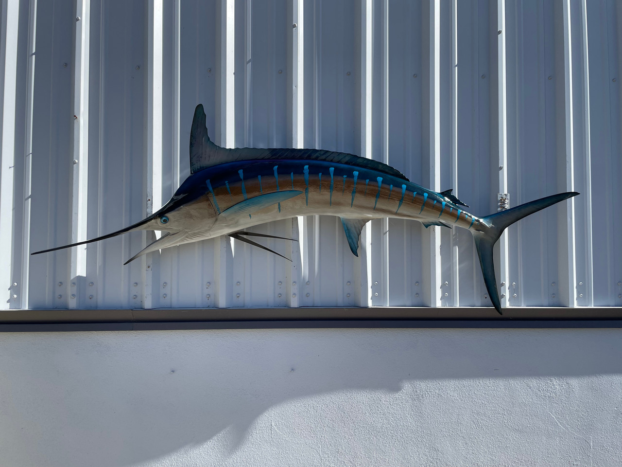 87 Inch Striped Marlin Fish Mount by Mount This Fish Company