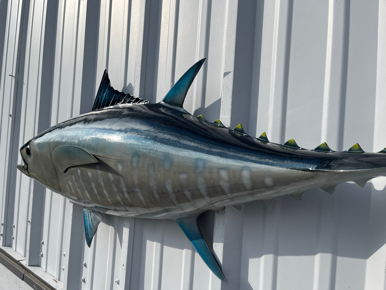 55 Inch Bluefin Tuna Half Mount Bluefin Tuna Half Sided Fish Replica