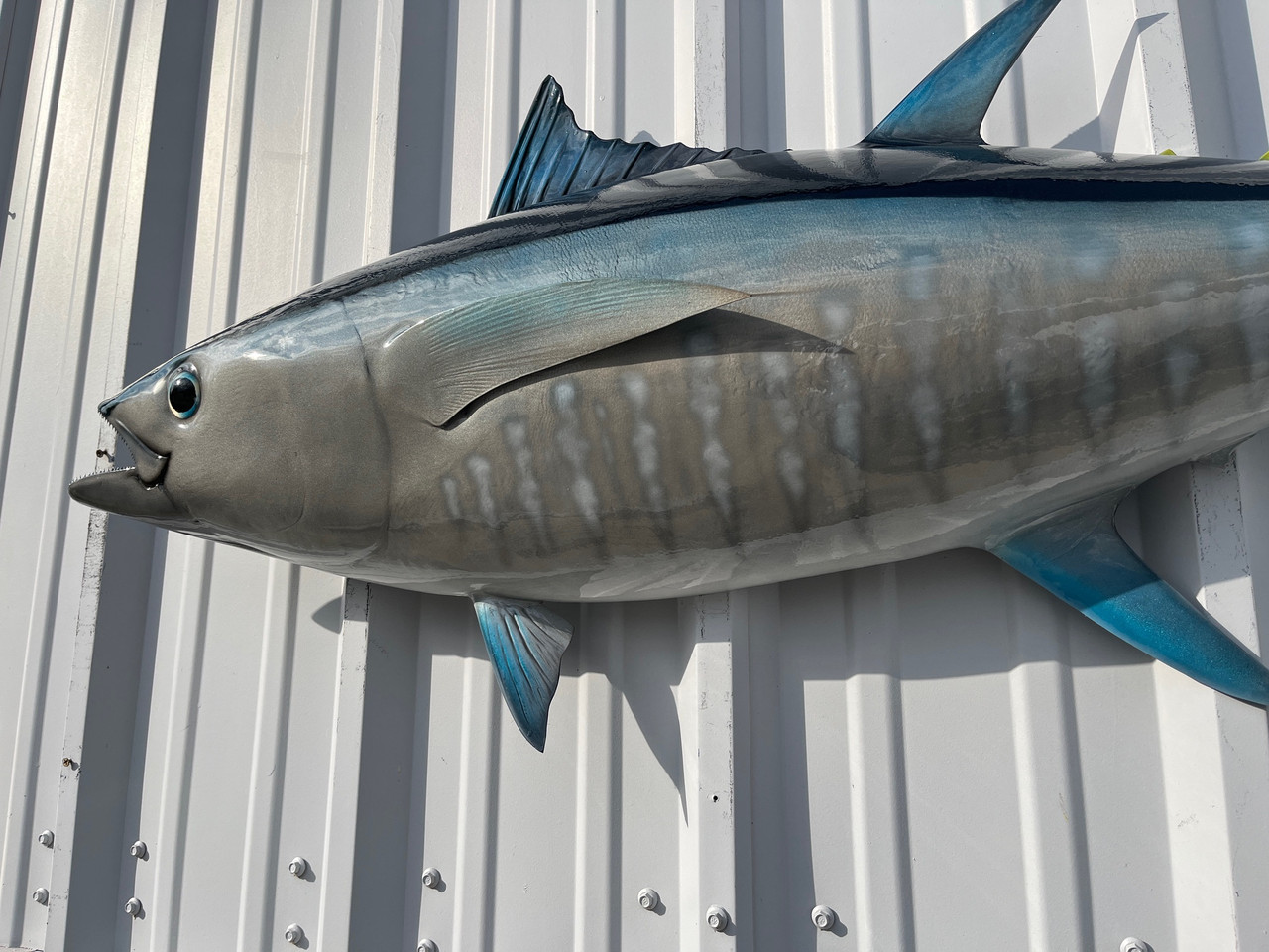 55 Inch Bluefin Tuna Half Mount Bluefin Tuna Half Sided Fish Replica