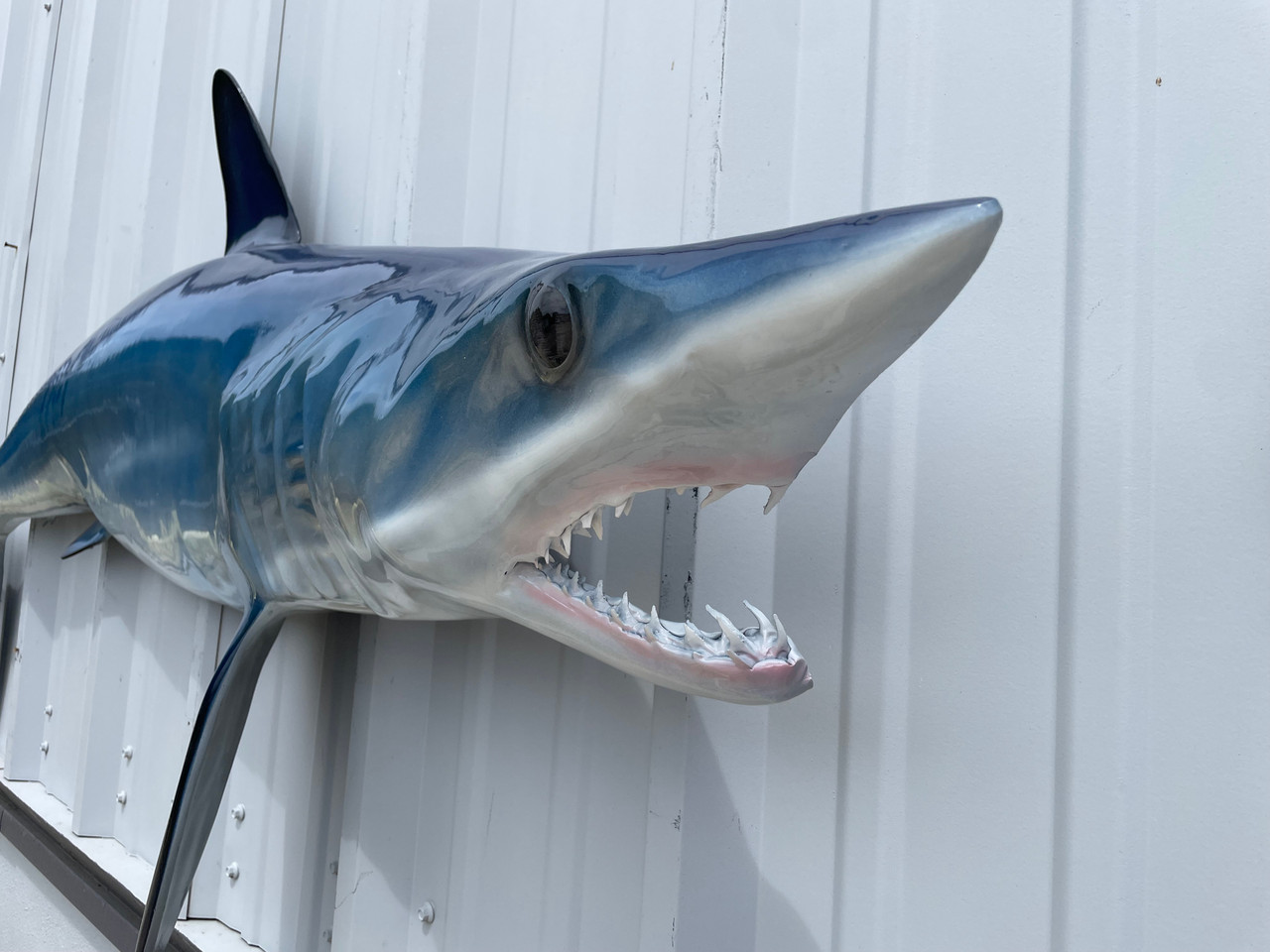 82" Mako Shark Half Mount Replica - Lifelike & Detailed | Mount This ...