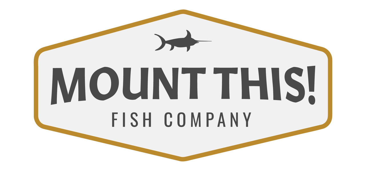 8.5 Inch Rainbow Trout Fish Mount Replica Reproduction For Sale