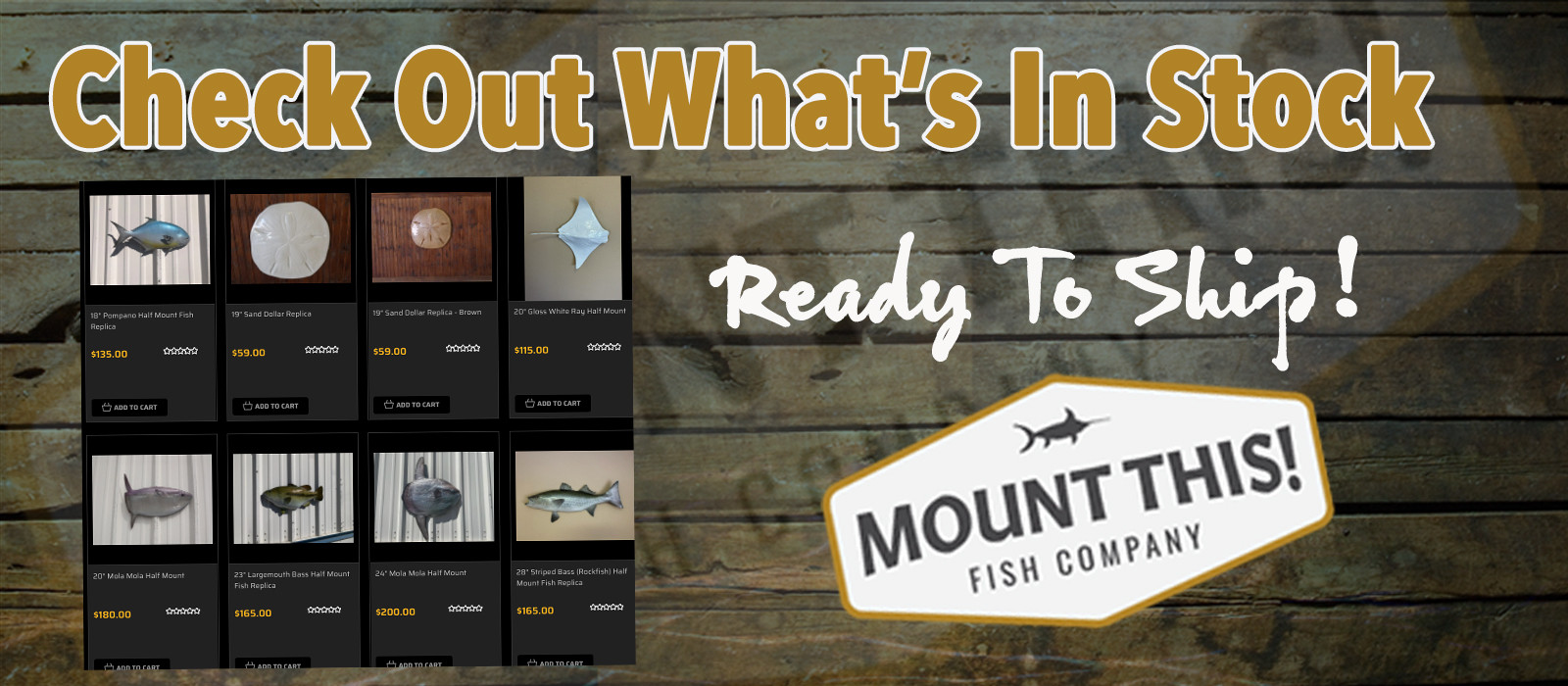 Mount This Fish Company | Pioneering The Fish Mount Industry