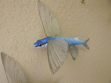 6 Inch Flying Fish Baitfish Mount Replica Reproduction For Sale