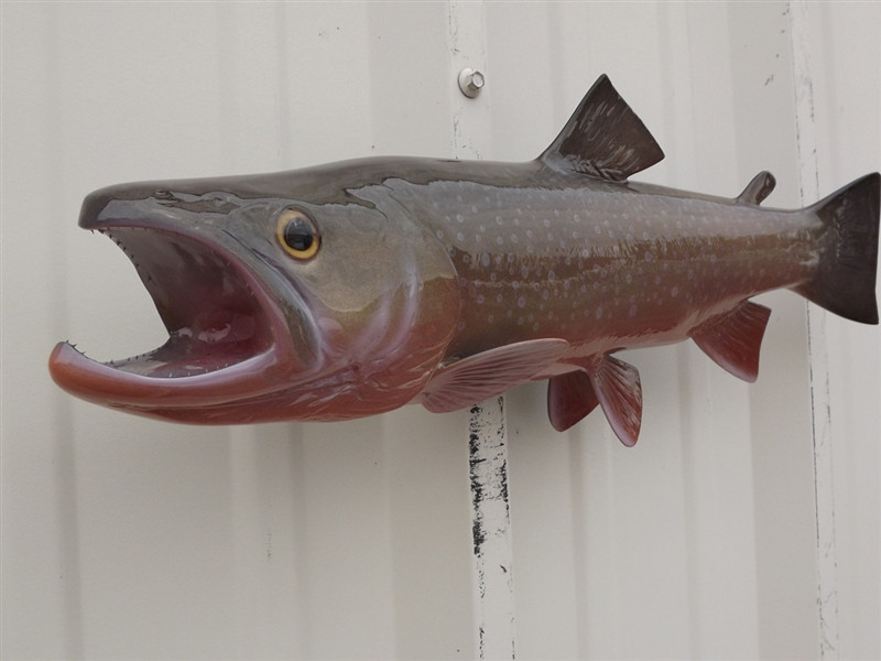 20 Inch Brook Trout Fish Mount Replica Reproduction For Sale