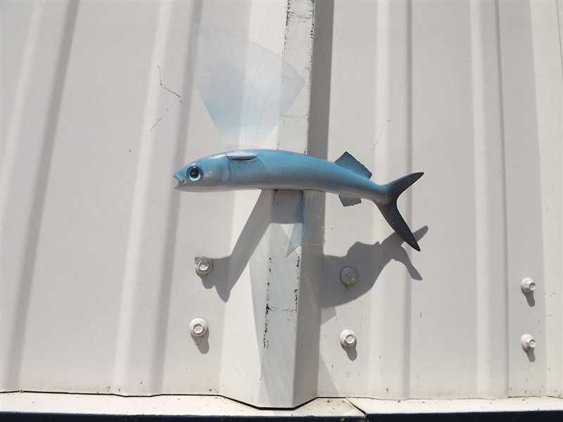 8 Inch Flying Fish Half Mount left Facing Flying Fish