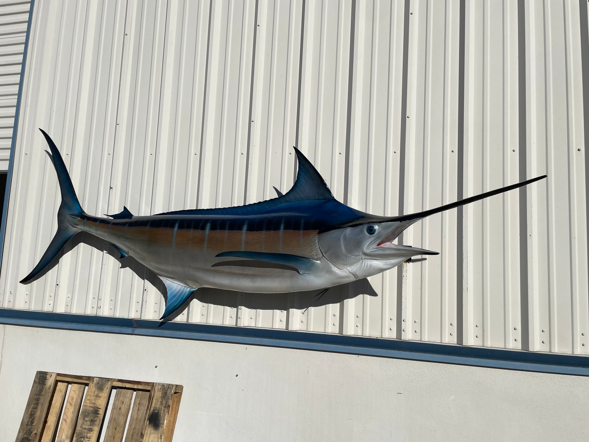 116 Inch Blue Marlin Full Mount Fish Replica