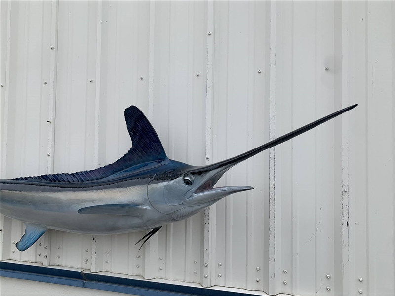96 Inch White Marlin Fish Mount Replica