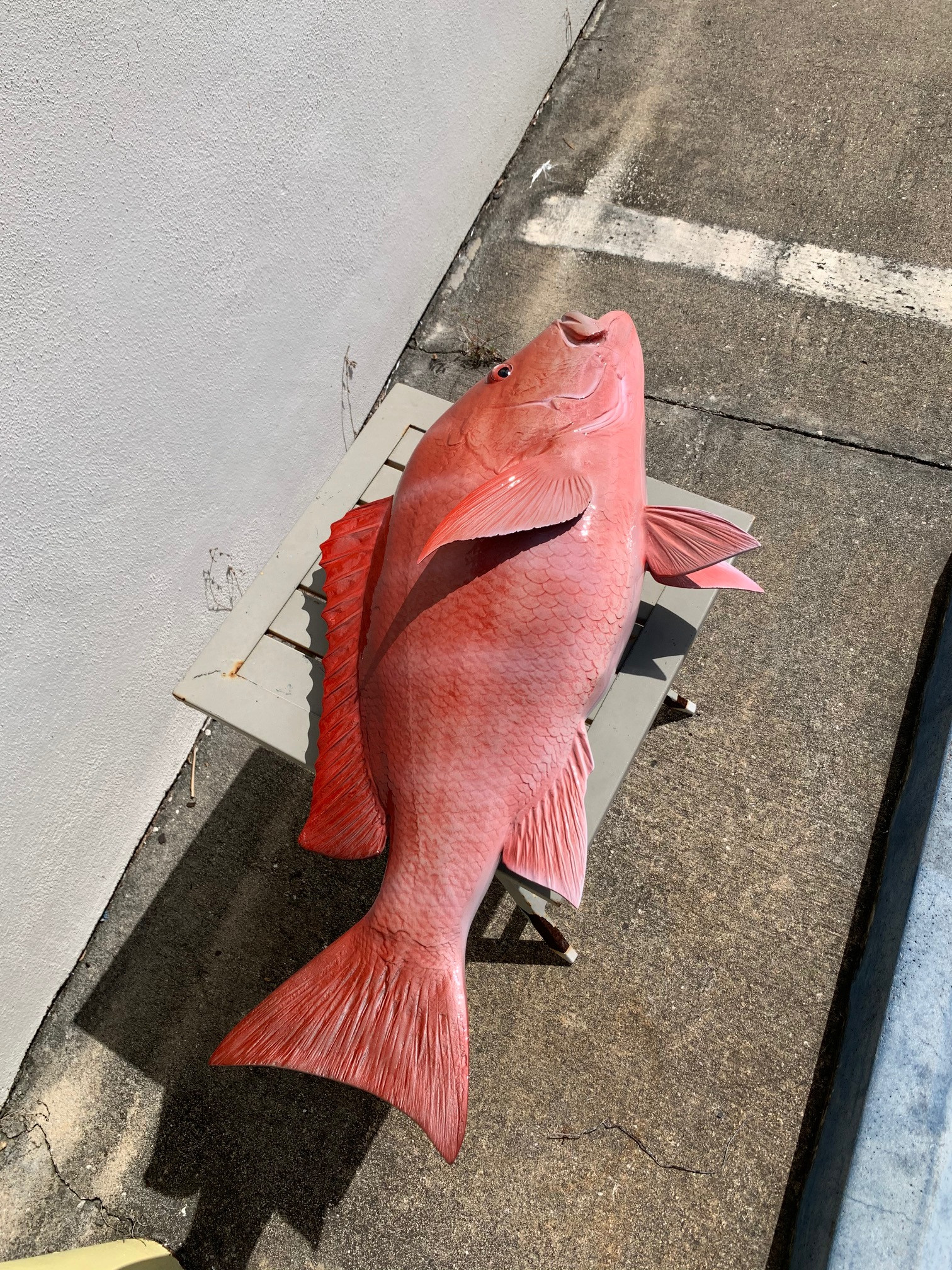 30 Inch Red Snapper Fish Mount Replica Reproduction For Sale