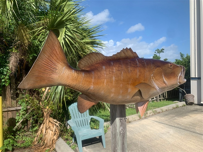 45 Inch Cubera Snapper Fish Mount Replica Reproduction For Sale