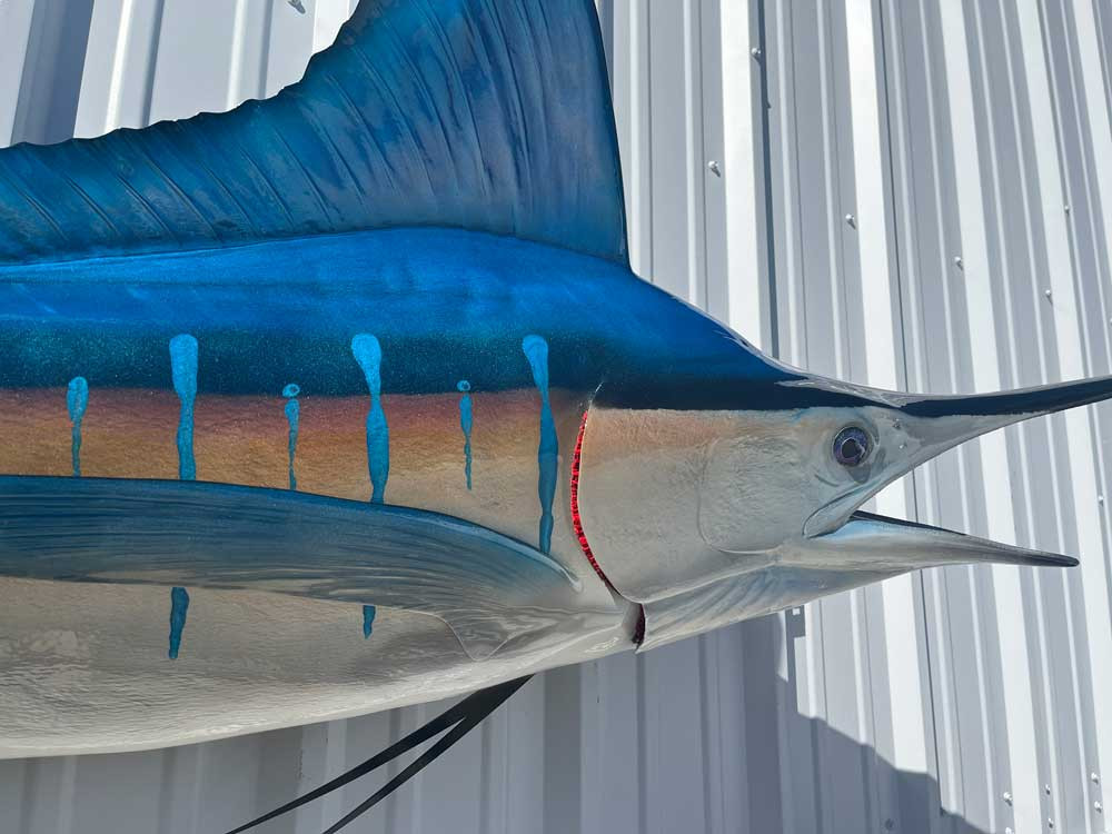 In Stock 105 Inch Striped Marlin Mount by Mount This Fish Company In ...