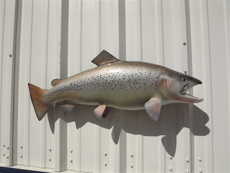 30 Inch Brown Trout Fish Mount Replica Reproduction For Sale