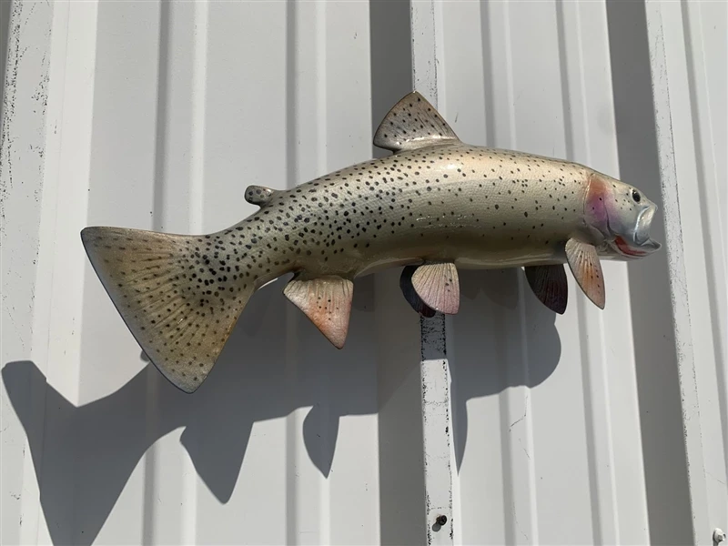 18 Inch Cutthroat Trout Fish Mount Replica Reproduction For Sale