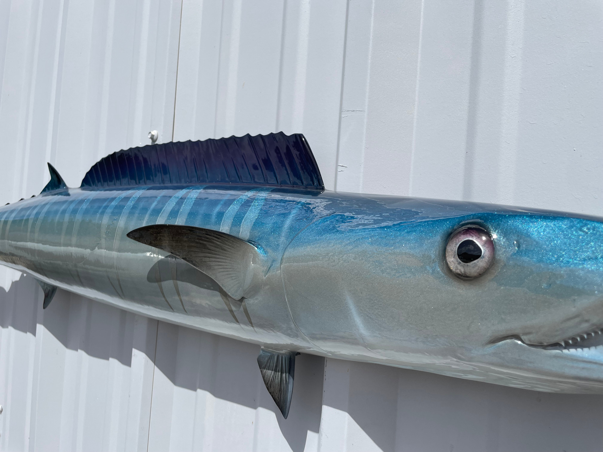 53 Inch Wahoo Half Mount Wahoo Half Sided Fish Replica