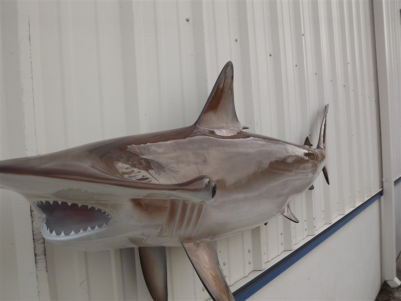 82 inch Hammerhead Shark Mount by Mount This!