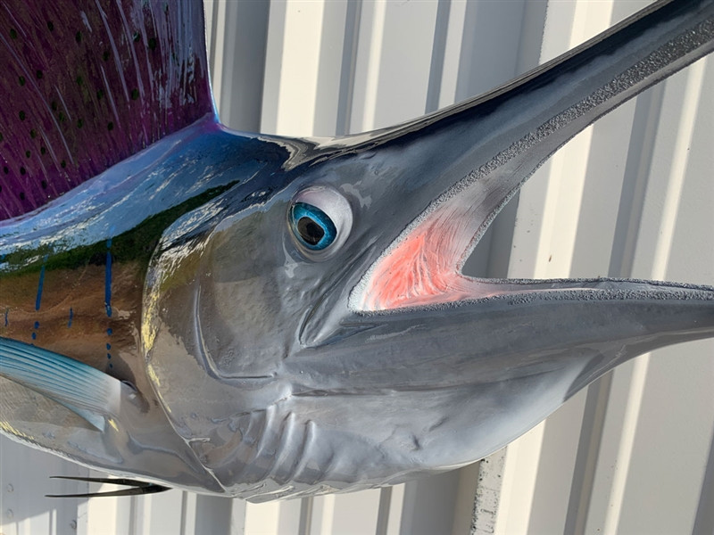 121 inch Pacific Sailfish Fish Mount Replica Reproduction For Sale