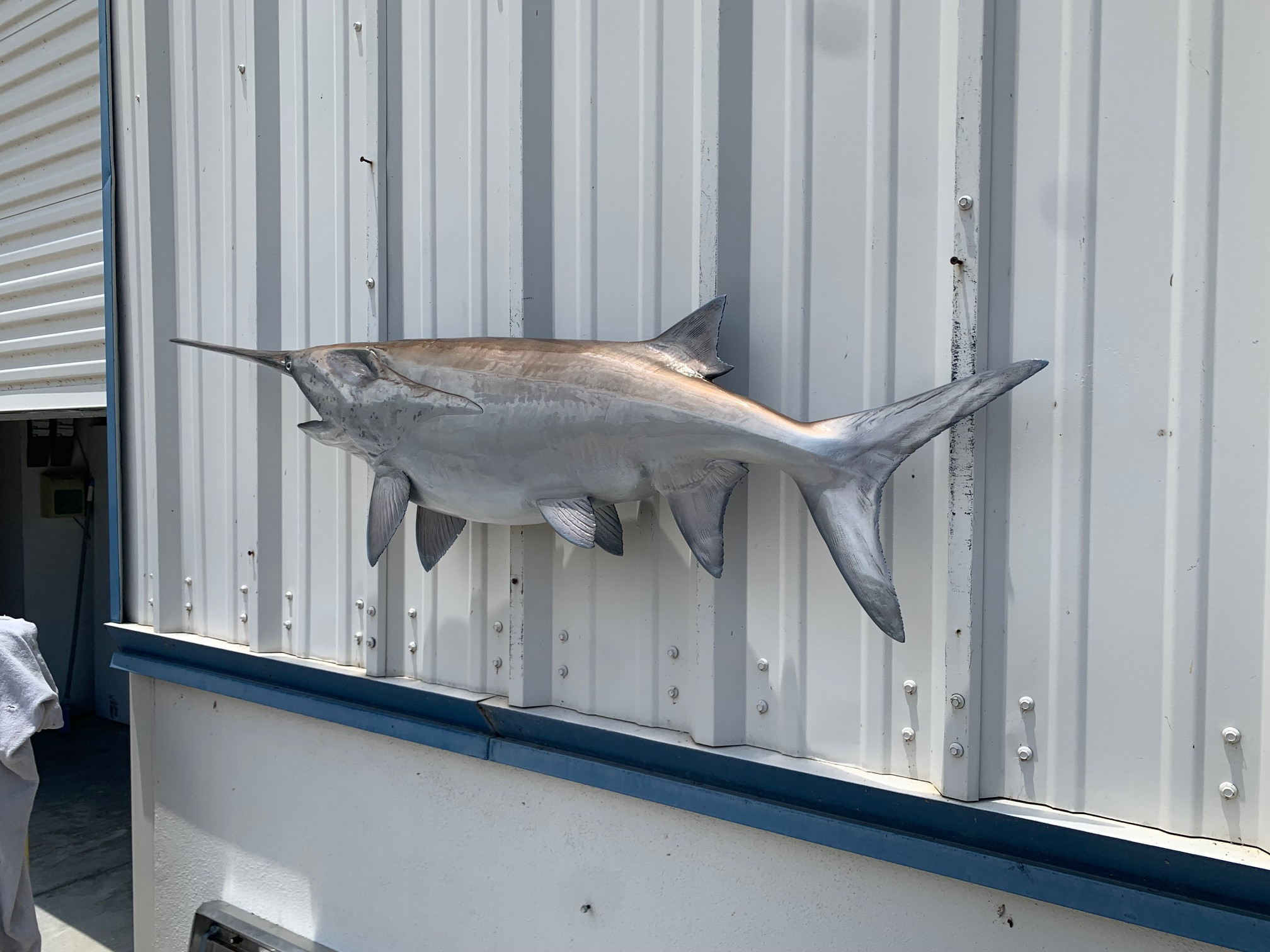 50 Inch Paddlefish Fish Mount Replica Reproduction For Sale