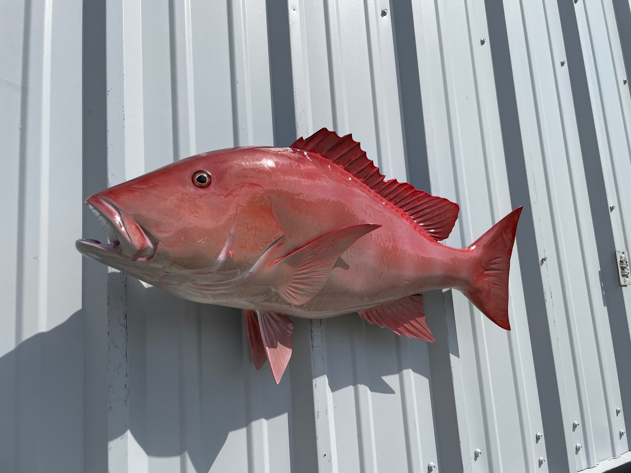 In Stock 32 Inch Red Snapper Mount In Stock 32 Inch Red Snapper Full ...