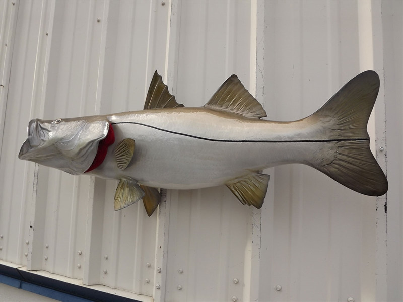 41 Inch Snook Mount 41 Inch Snook Full Mount