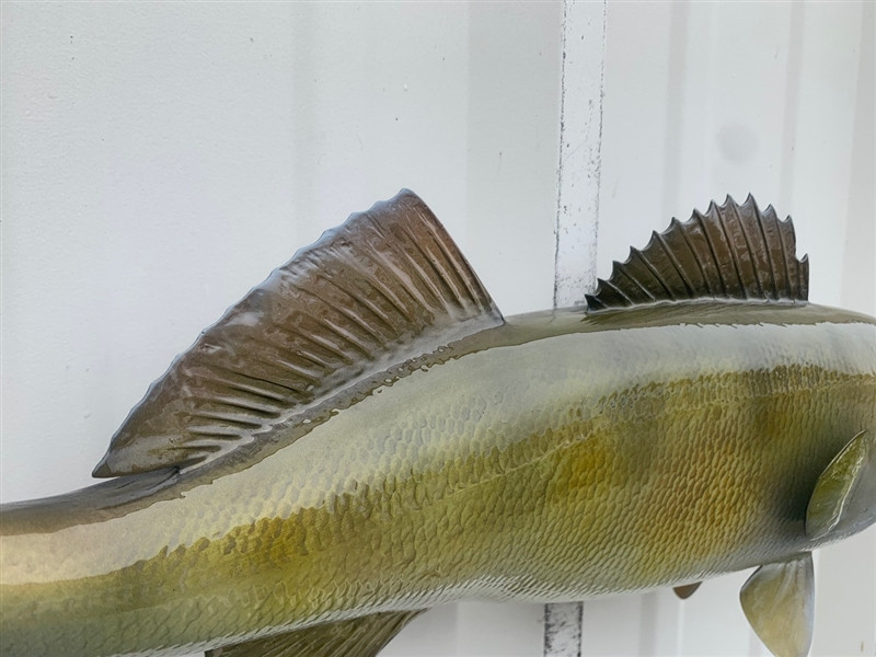 Walleye Fish Mount Two Sided Wall Mount Fish Replica - 21 Inches