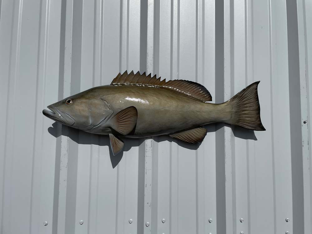 32-Inch Gag Grouper Fish Mount: Lifelike Marine Replica | Mount This ...