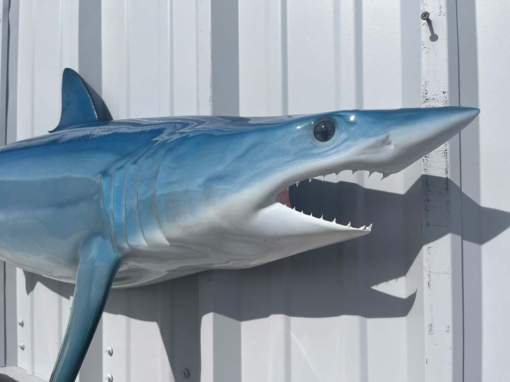 57" Mako Shark Half Mount Replica - Lifelike & Detailed | Mount This ...