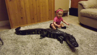 60" Alligator (gator) floor mount replica