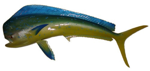 42 Inch Cow Dolphin Half Mount Cow Dolphin Half Sided Fish Replica