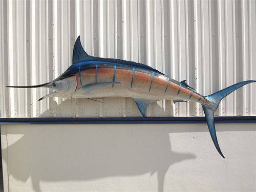124 Inch Blue Marlin Mount 124 Inch Blue Marlin Full Mount 124 Inch ...