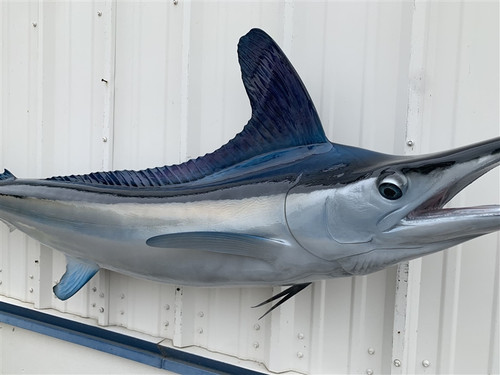 96 Inch White Marlin Fish Mount Replica