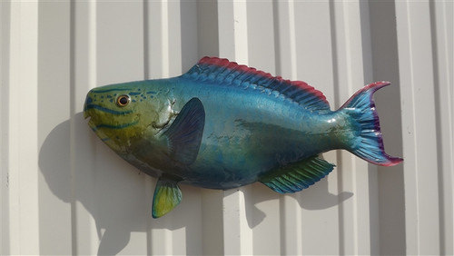29 Inch Redfish Half Mount Redfish Half Sided Fish Replica