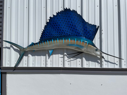 71 Inch Sailfish Fish Mount Replica Reproduction For Sale