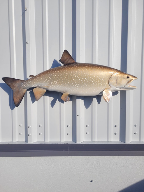 In Stock Fish Mounts | Fish Mounts For Sale