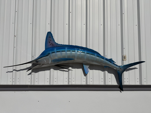 Stunning 87 Inch White Marlin Fish Mount Replica | In Stock And For ...