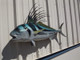 Roosterfish Mounts By Mount This Fish | Roosterfish Full Mounts