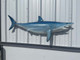 57" Mako Shark Half Mount Replica - Lifelike & Detailed | Mount This ...