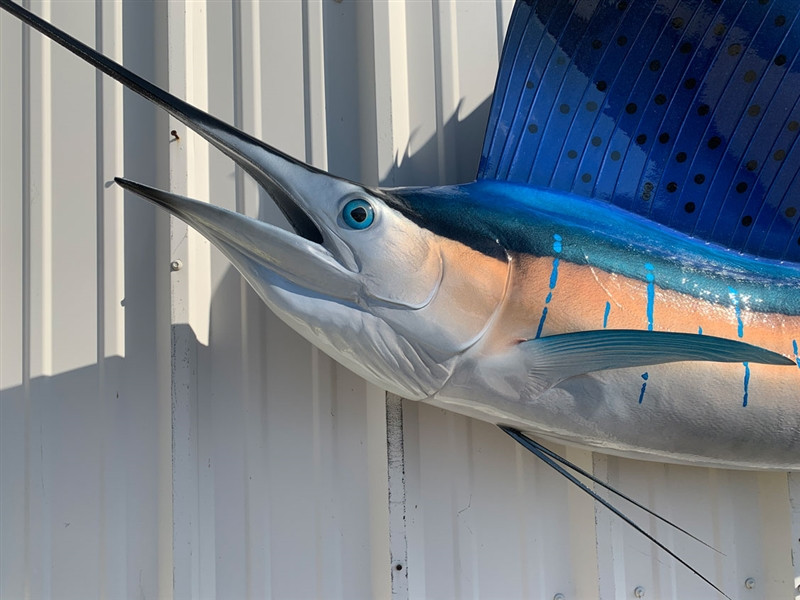 102 Inch Atlantic Sailfish Full Mount Fish Replica