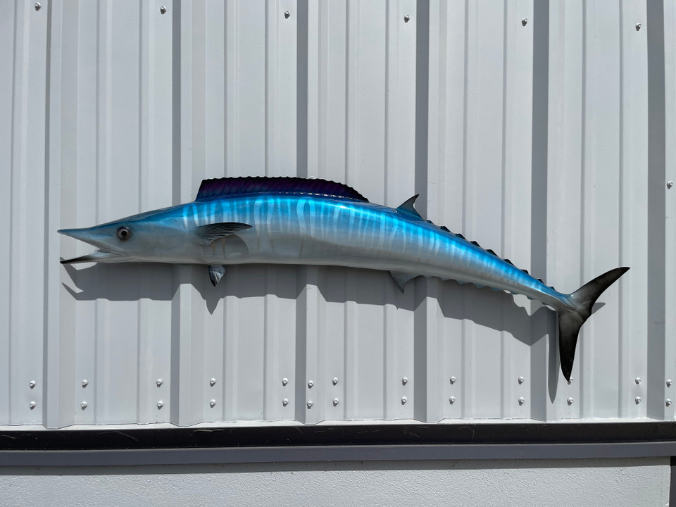54 Inch Left Facing Wahoo Half Sided Fish Mount Replica Reproduction