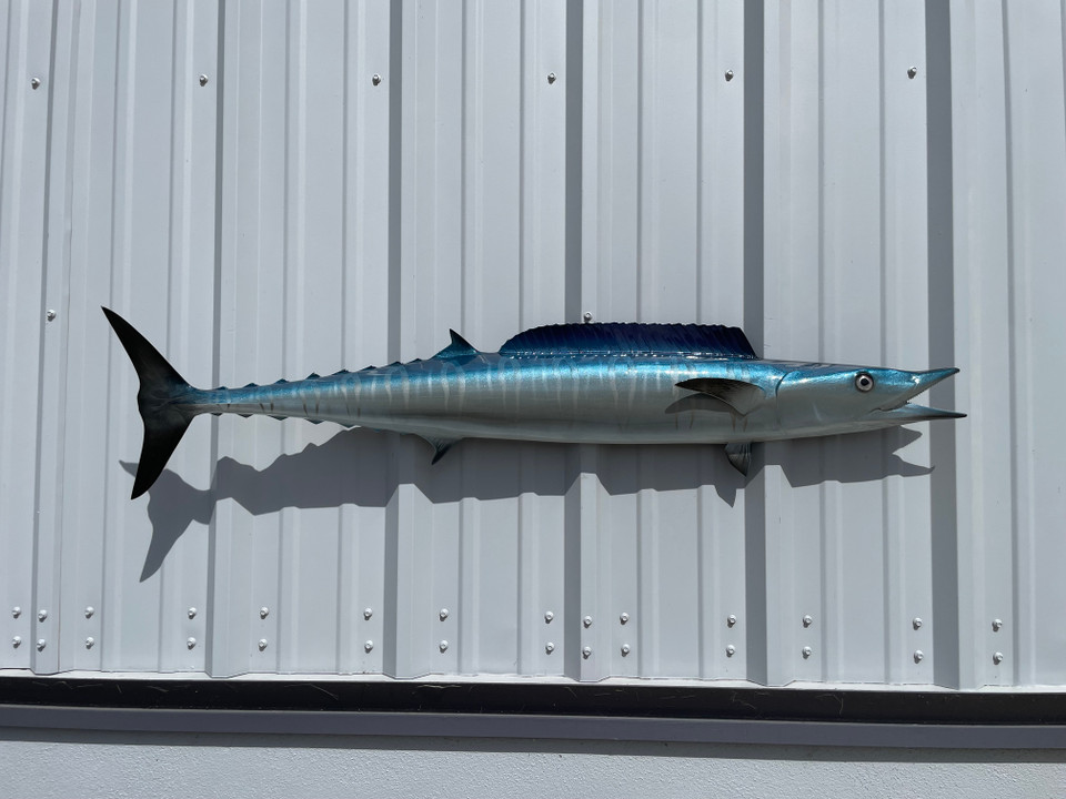 53 Inch Wahoo Half Mount Wahoo Half Sided Fish Replica