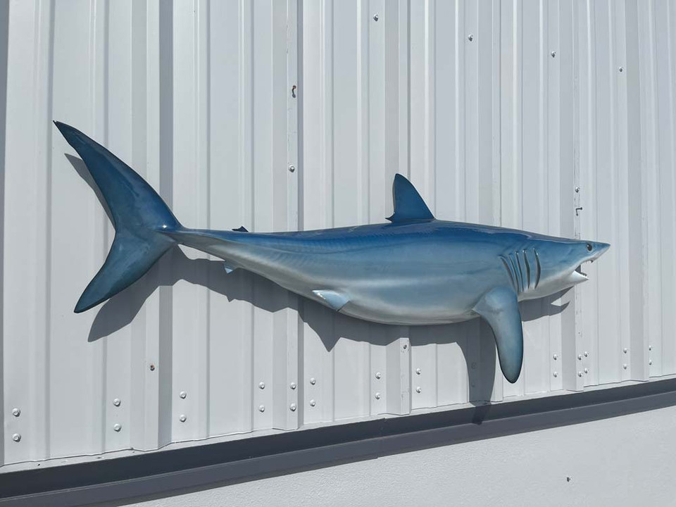 57" Mako Shark Half Mount Replica - Lifelike & Detailed | Mount This ...