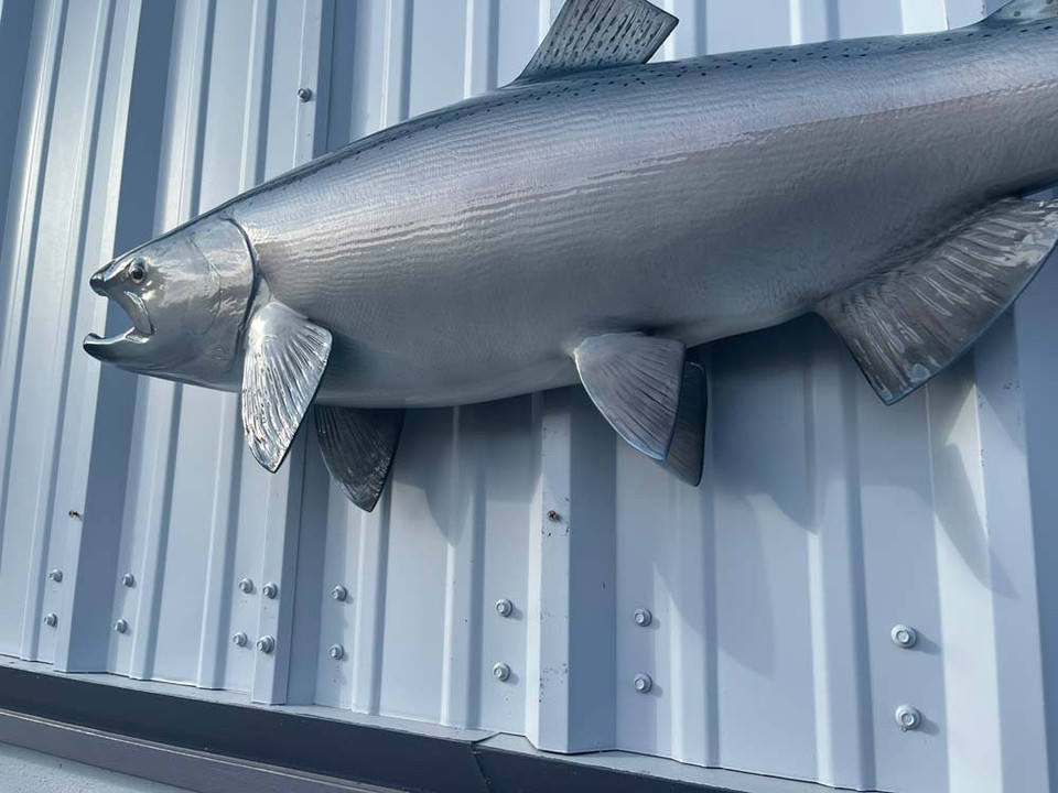 40-Inch King Salmon Female Full Mount - Authentic Chinook Replica ...