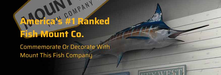 African Pompano Full Mounts | African Pompano Fish Mounts