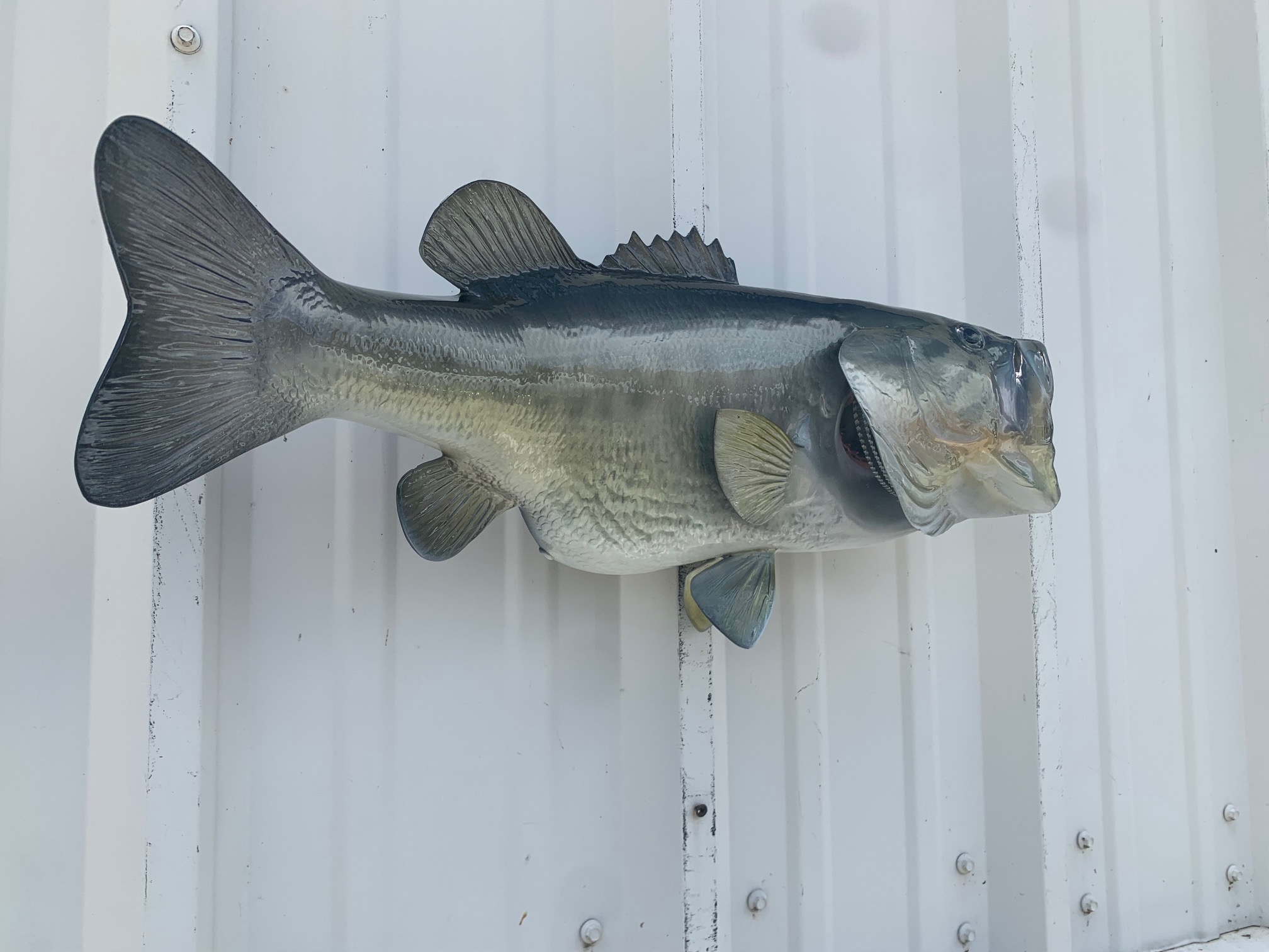 25 Inch Right Facing Largemouth Fish Mount Replica Reproduction