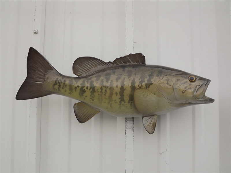 18 Inch Smallmouth Bass Fish Mount Replica Reproduction For Sale
