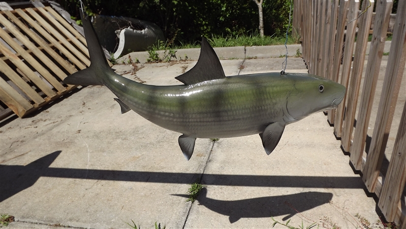 32 Inch Bonefish 3D Suspension Fish Mount Replica For Sale