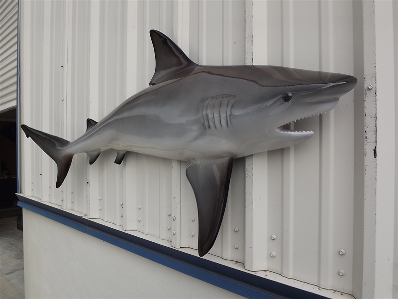 67 Inch Bull Shark Half Mount Bull Shark Half Sided Replica