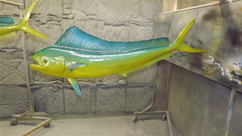 51 inch Cow Dolphin 3D Suspension Fish Mount Replica For Sale