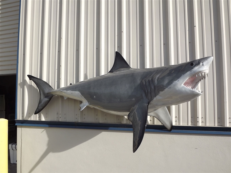 96 Inch Great White Shark Mount Replica Reproduction For Sale